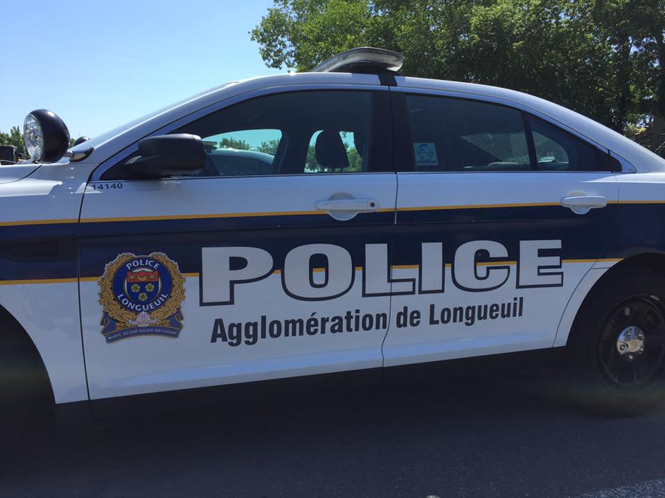 Bilan d'une année pandémique au SPAL - Les Versants