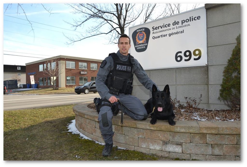 Une recrue de deux ans à la police de Longueuil - Les Versants