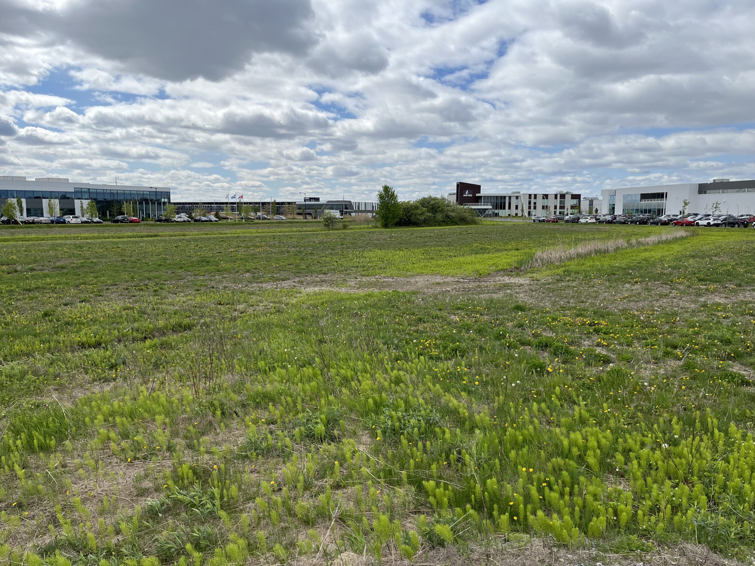 Le dernier terrain du parc industriel de Saint-Bruno à vendre - Les ...